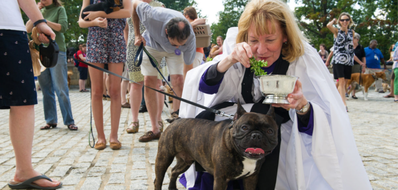 blessing-animals-community-outreach - Lewis Center for Church Leadership